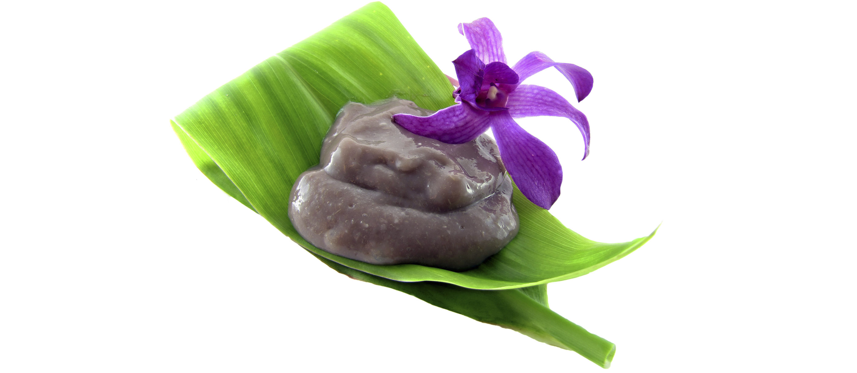 Traditional Hawaiian Food Poi