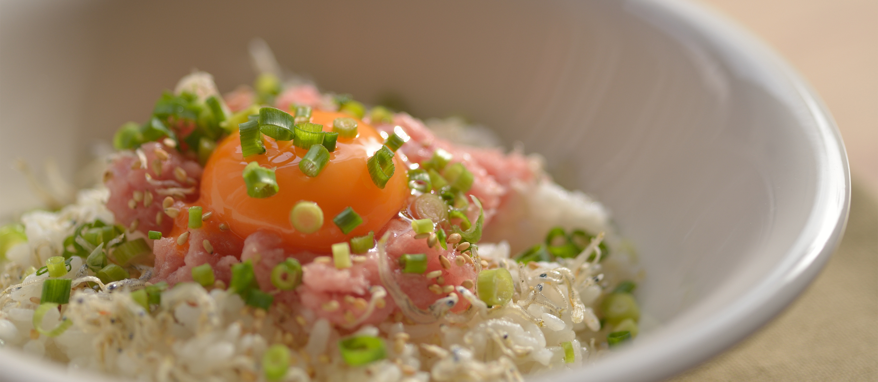 Tokyo Negi Rice
