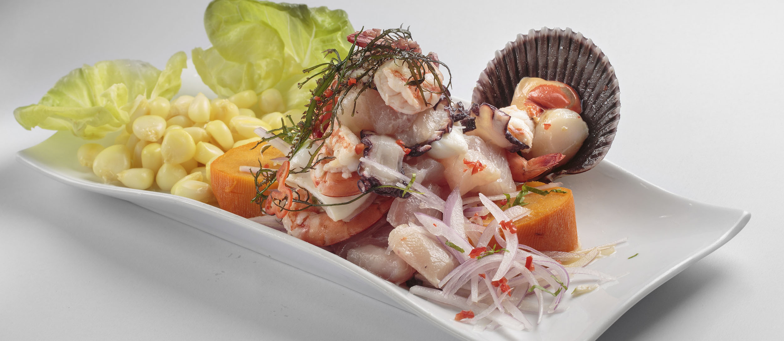 Traditional Peruvian Food Ceviche