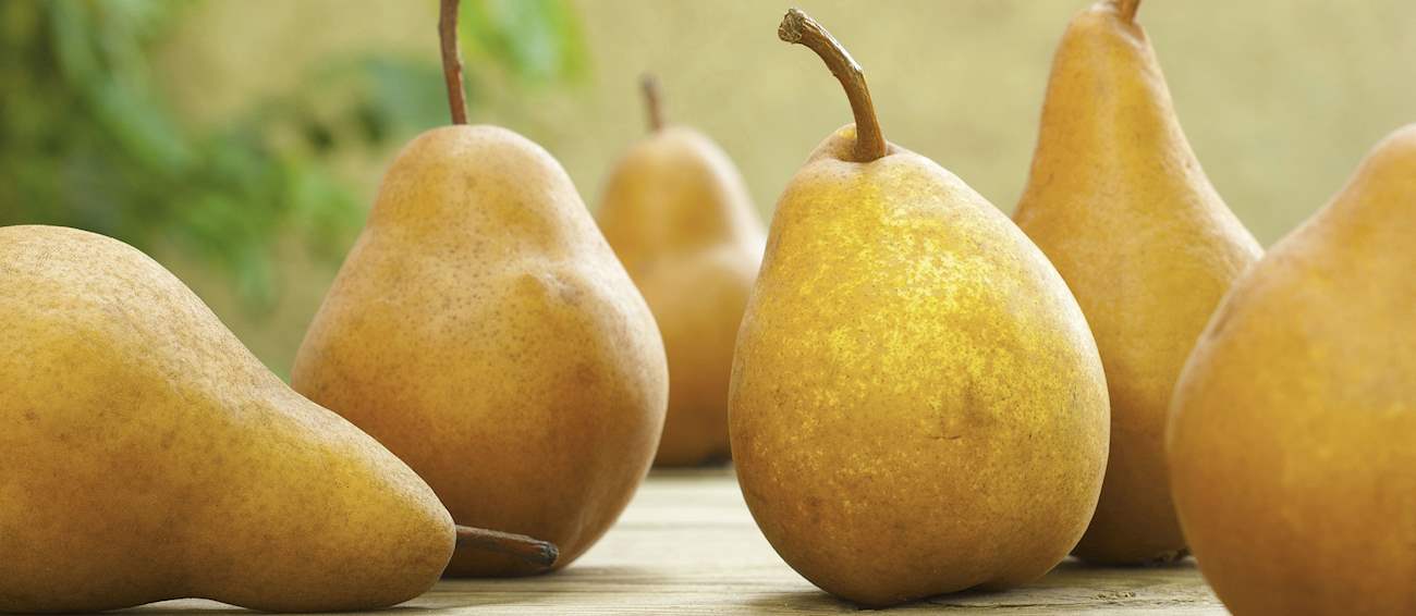 Pera de Lleida | Local Pear From Province of Lleida, Spain