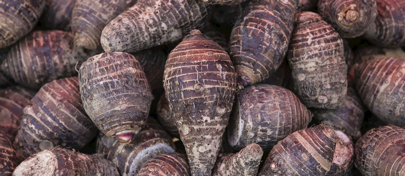 Kolokasi-Poulles Sotiras | Local Vegetable From Sotira, Republic of Cyprus