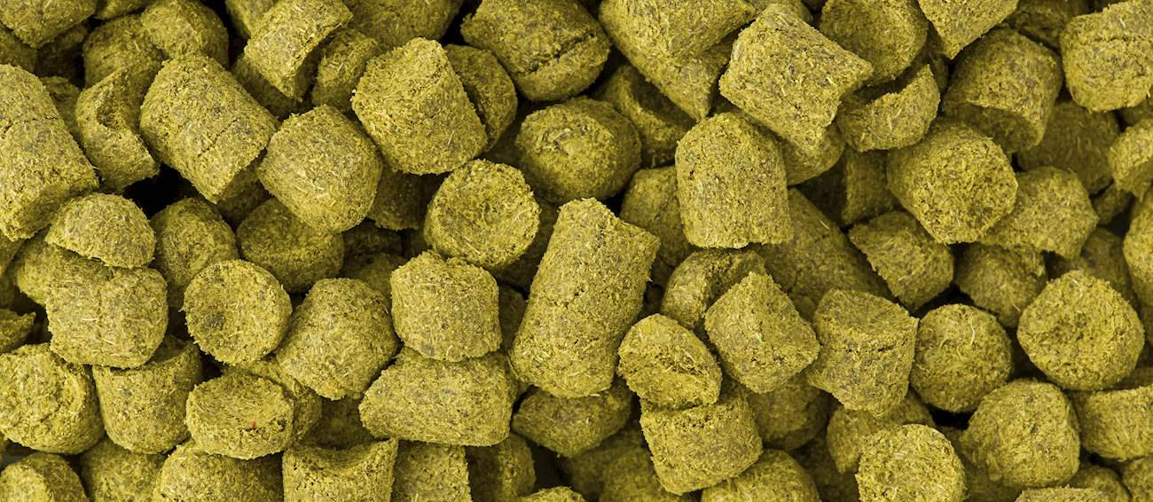 Spalt Spalter | Local Hop From Spalt, Germany