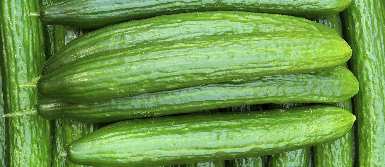 Gurken Von Der Insel Reichenau | Local Cucumber From Reichenau Island ...