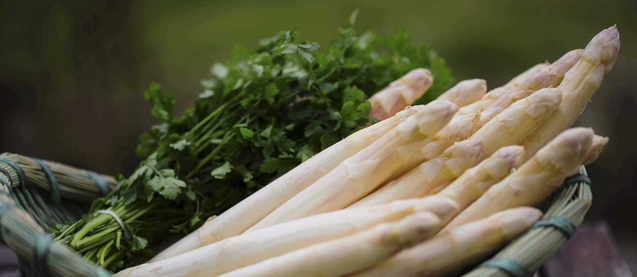 Walbecker Spargel | Local Asparagus From Walbeck, Germany