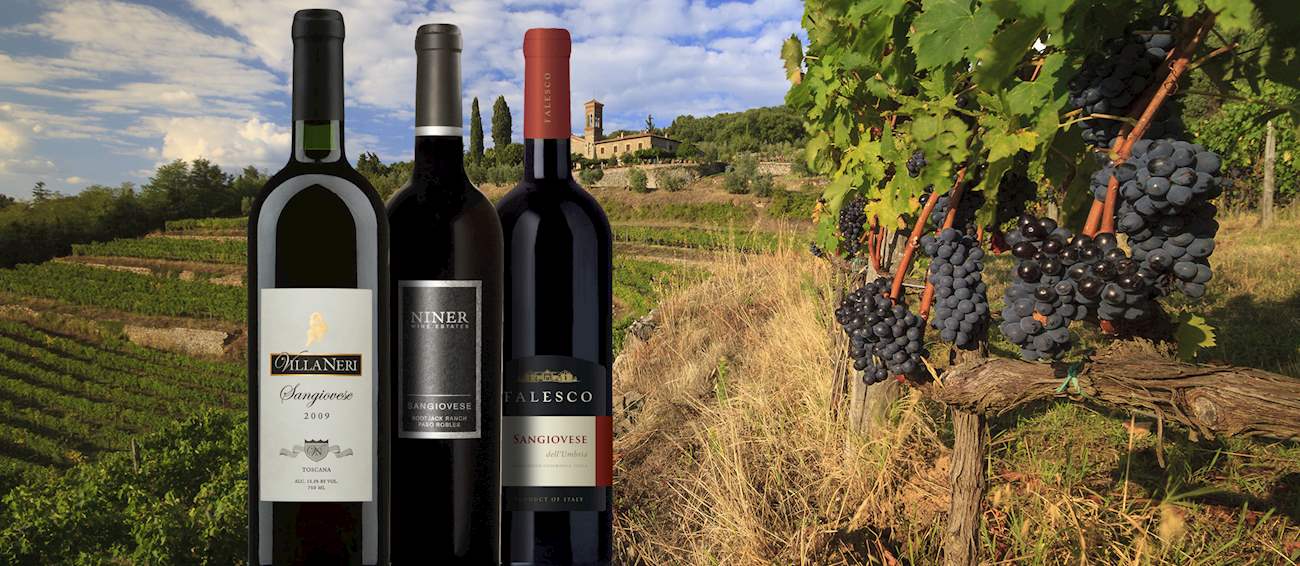 Sangiovese | Local Wine Variety From Italy, Western Europe