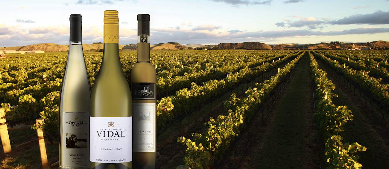 Vidal | Local Wine Variety From Ontario, Canada