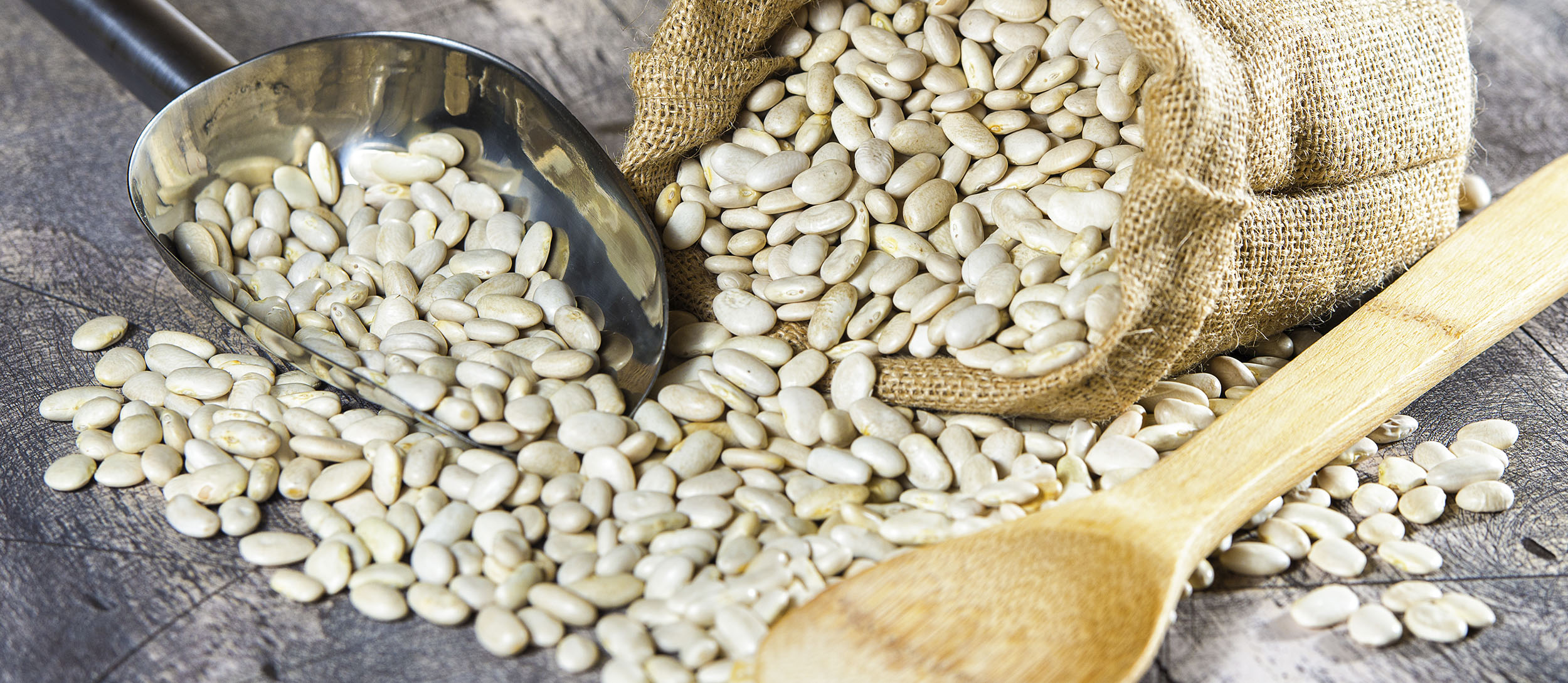 Mogette De Vend e Local White Beans From Vend e France Mogette De Vend e Local White Beans From Vend e France