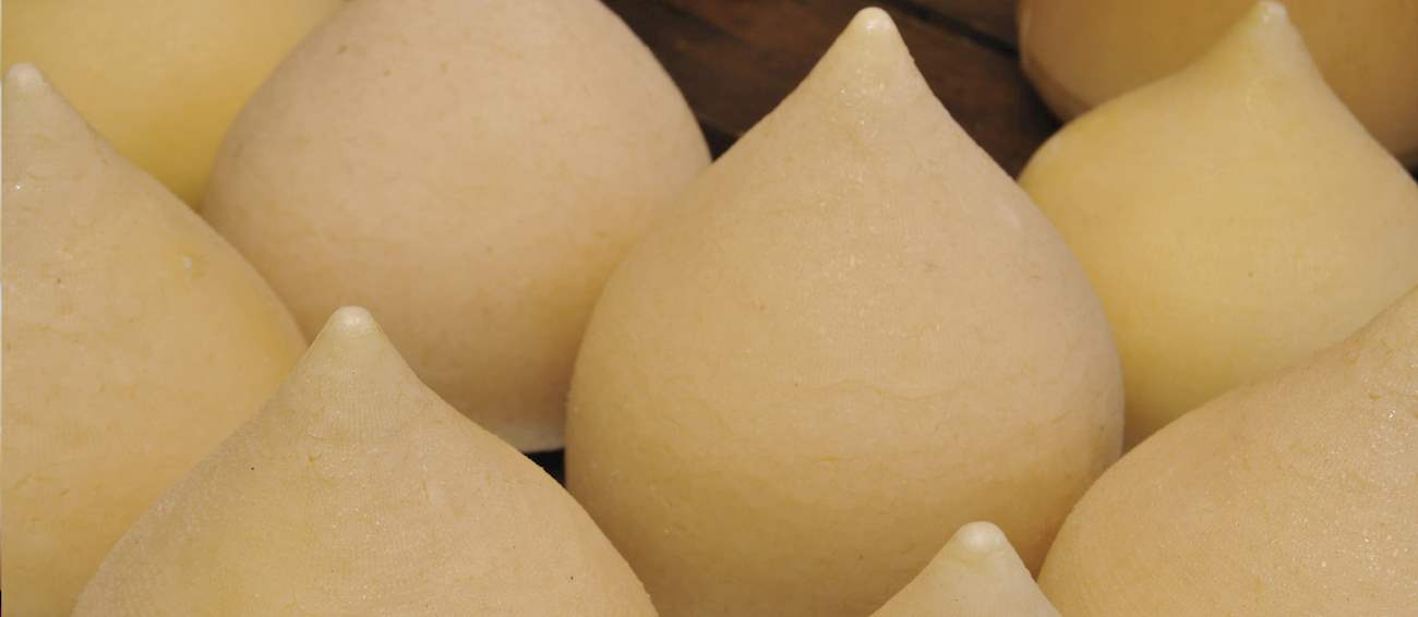 Queso Tetilla | Local Cheese From Galicia, Spain