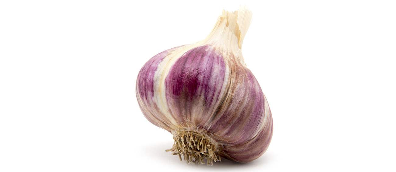 Ail Violet de Cadours | Local Garlic From Cadours, France