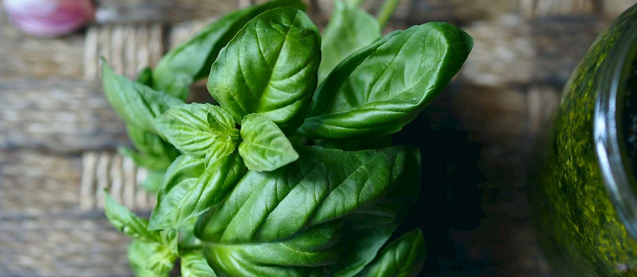 Basilico Genovese | Local Basil From Liguria, Italy