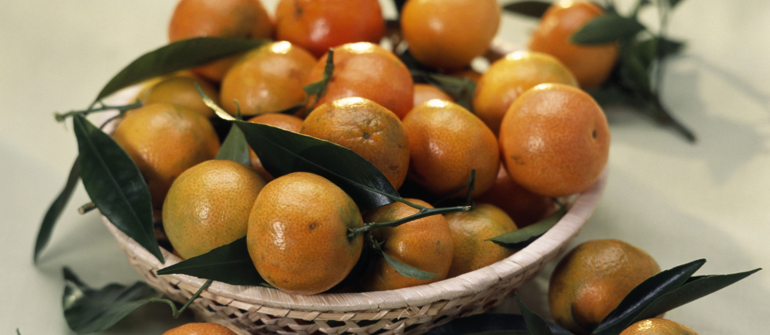 Corsican Fruit Vegetable