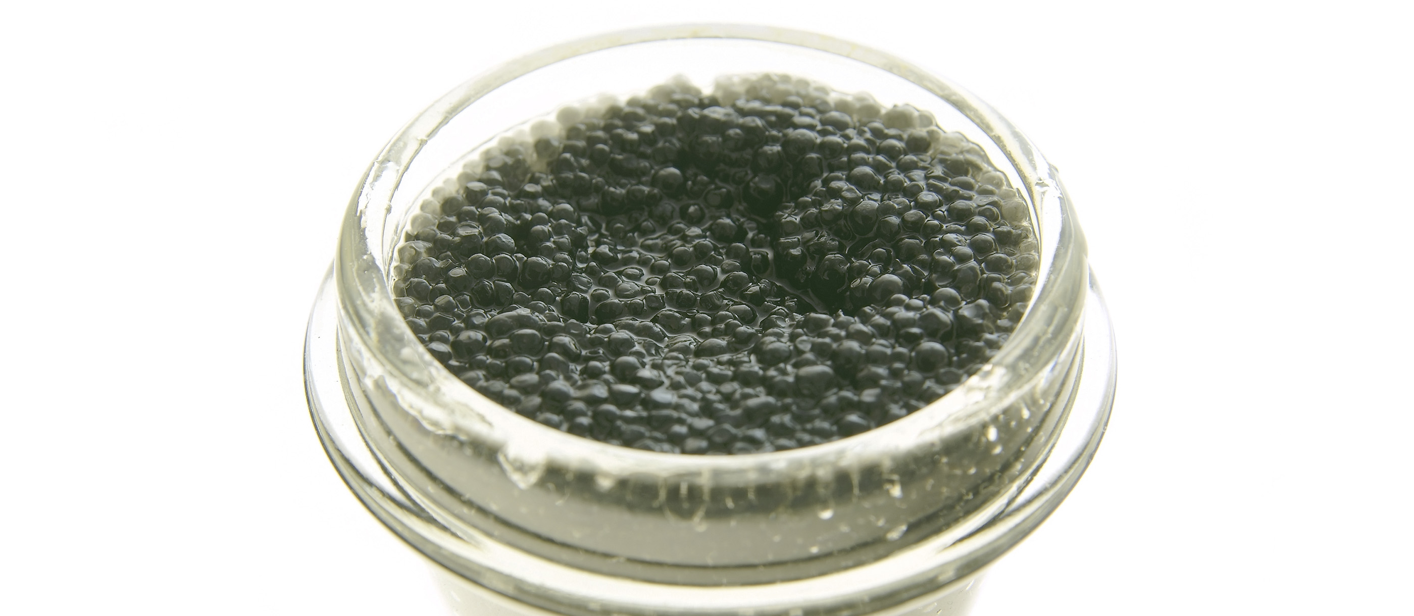Caviar Inside Fish
