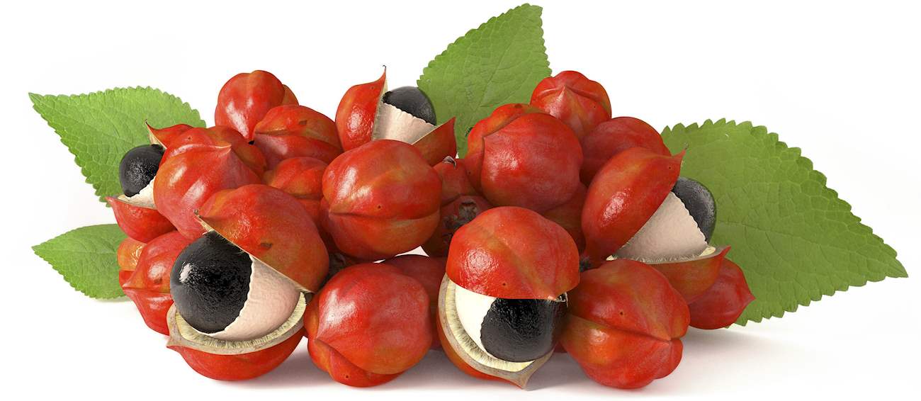 Guarana | Local Berries From Amazonas, Brazil