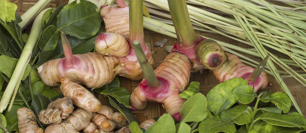 Galangal | Local Spice From Indonesia, Southeast Asia