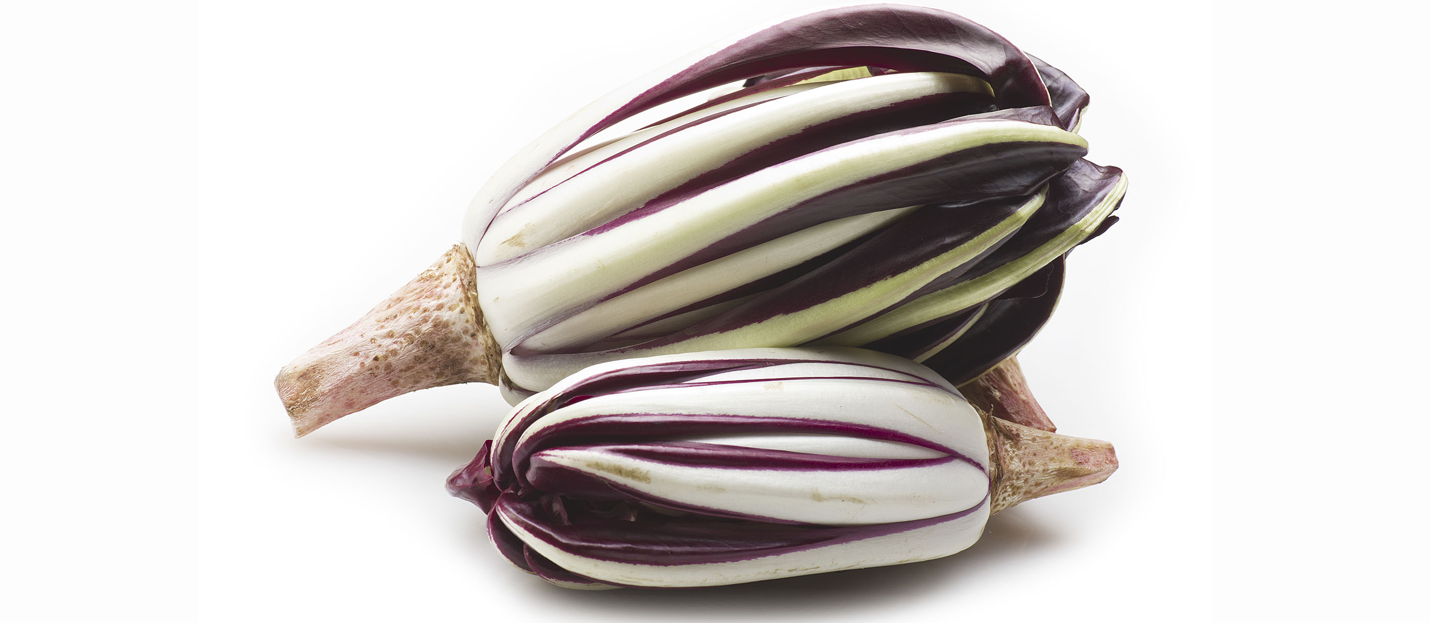 Italian Vegetables List