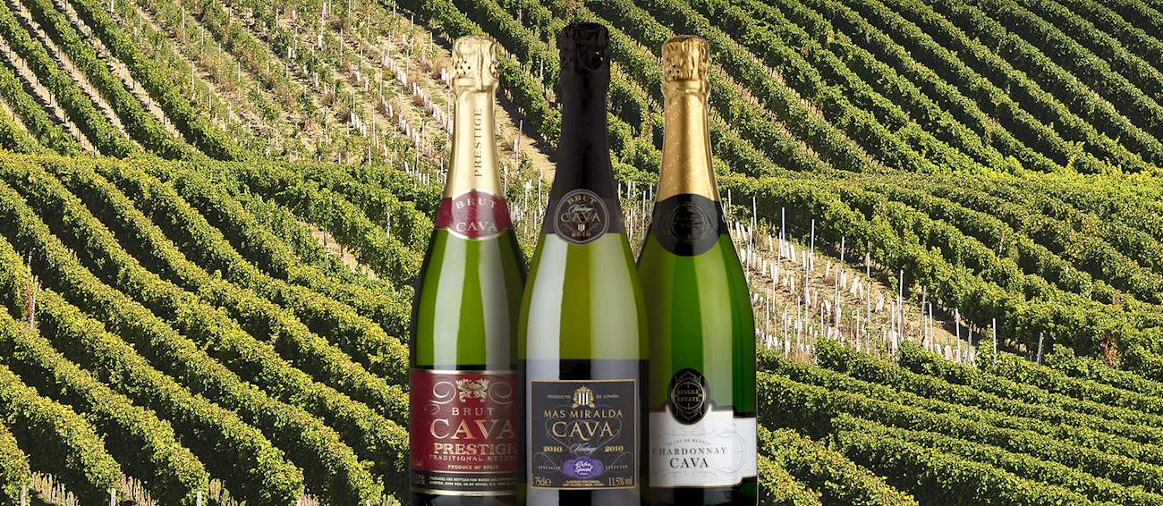 Cava | Local Sparkling Wine From Catalonia, Spain