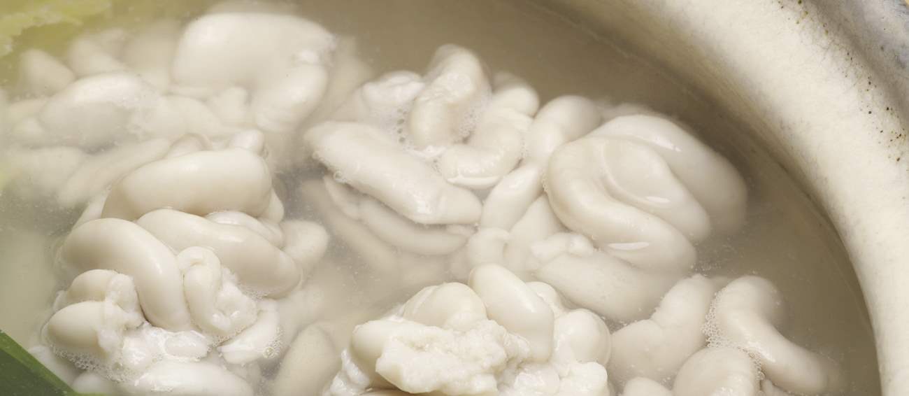 Shirako | Local Fish Product From Japan