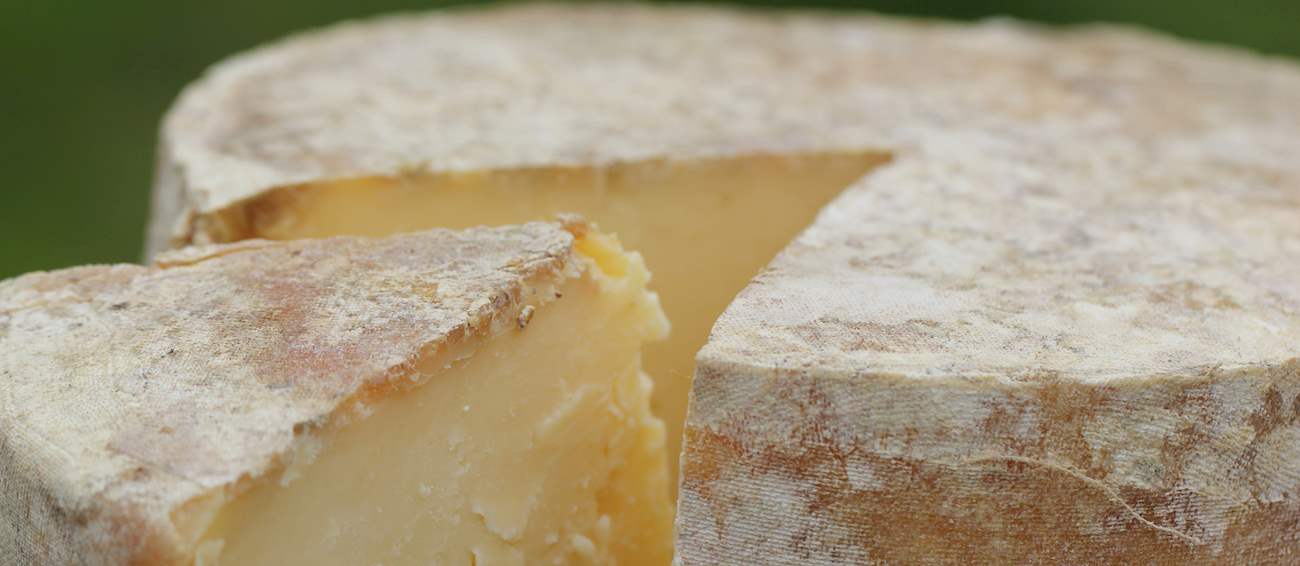 Traditional Ayrshire Dunlop | Local Cheese From Dunlop, Scotland