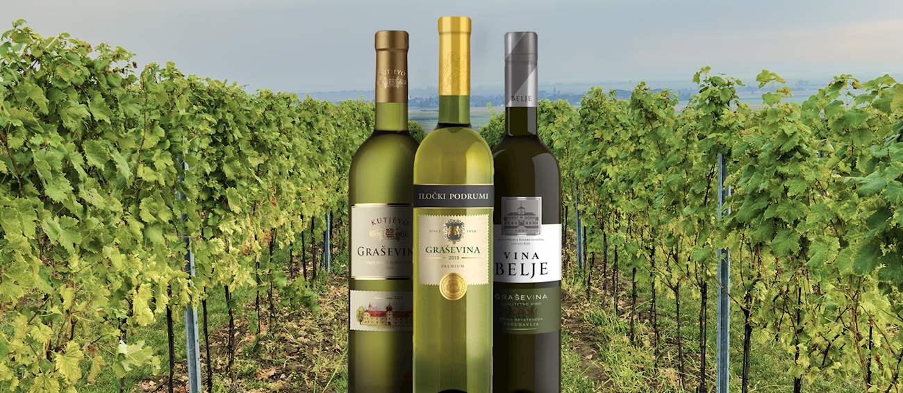 Welschriesling | Local Wine Variety From Austria, Central Europe