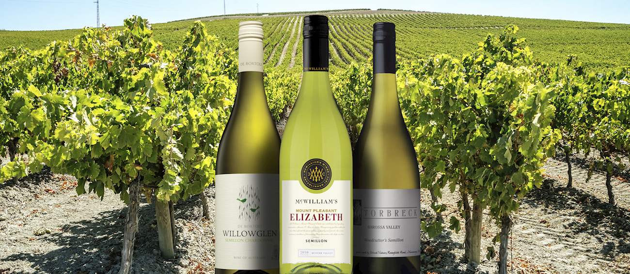 Semillon | Local Wine Variety From Gironde, France