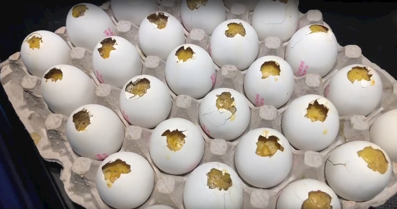 Qai ci | Traditional Egg Dish From Laos, Southeast Asia