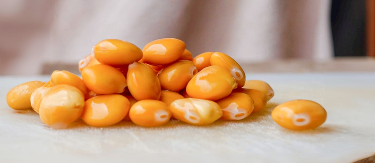 Tremoços | Traditional Snack From Portugal, Western Europe