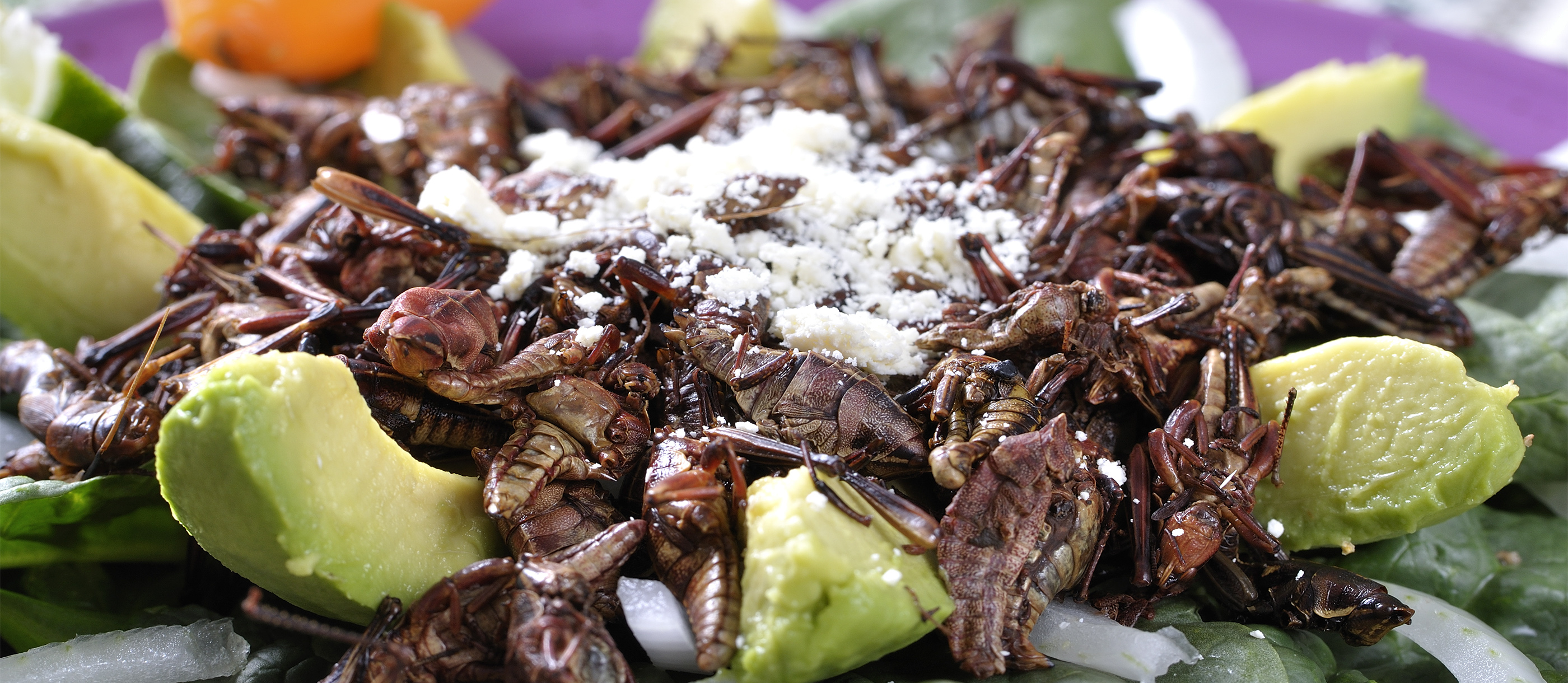 Chapulines Food