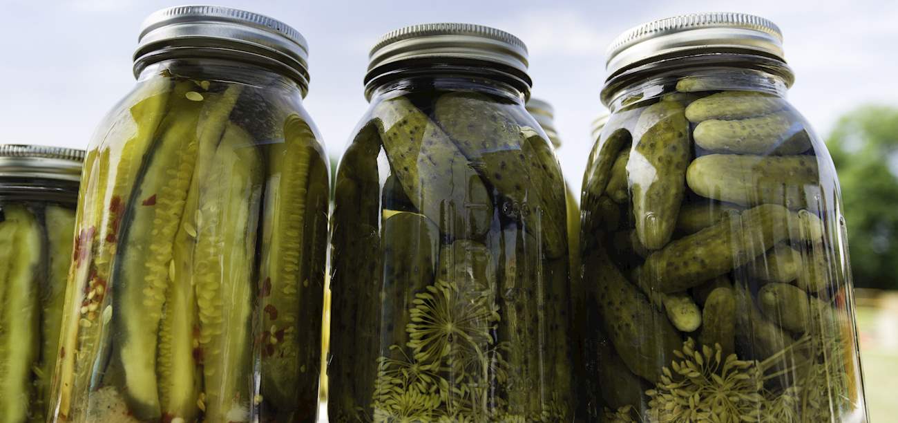 Kosher Pickles | Traditional Pickling From New York City, United States ...