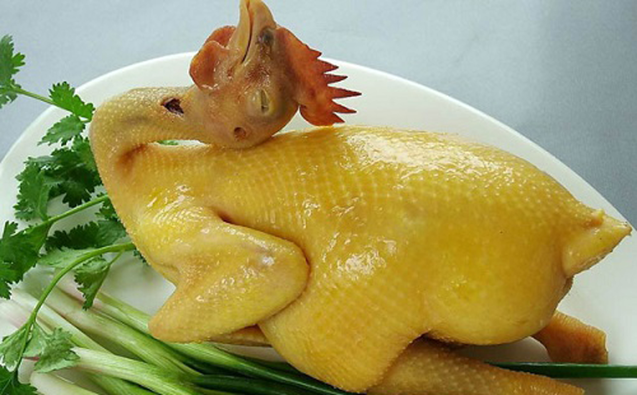 Yellow Chicken Meat