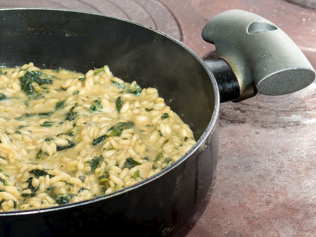 Risotto Alle Ortiche | Traditional Rice Dish From Italy, Western Europe