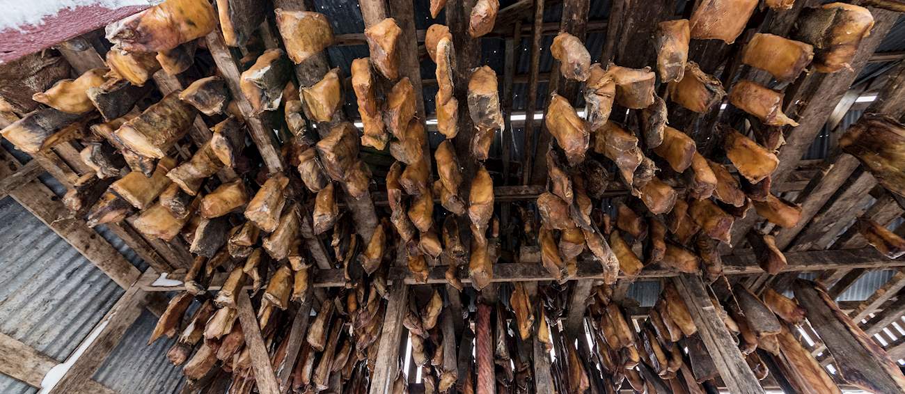 Hákarl | Traditional Saltwater Fish Dish From Iceland, Northern Europe