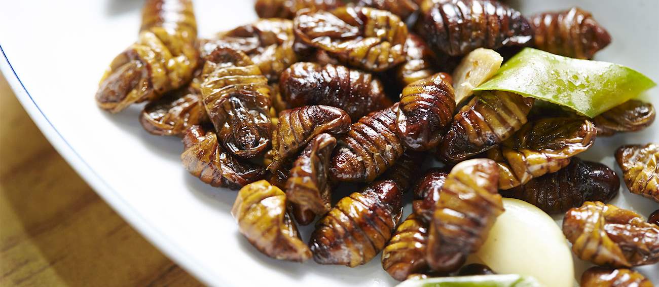 Beondegi | Traditional Insect Dish From South Korea, East Asia