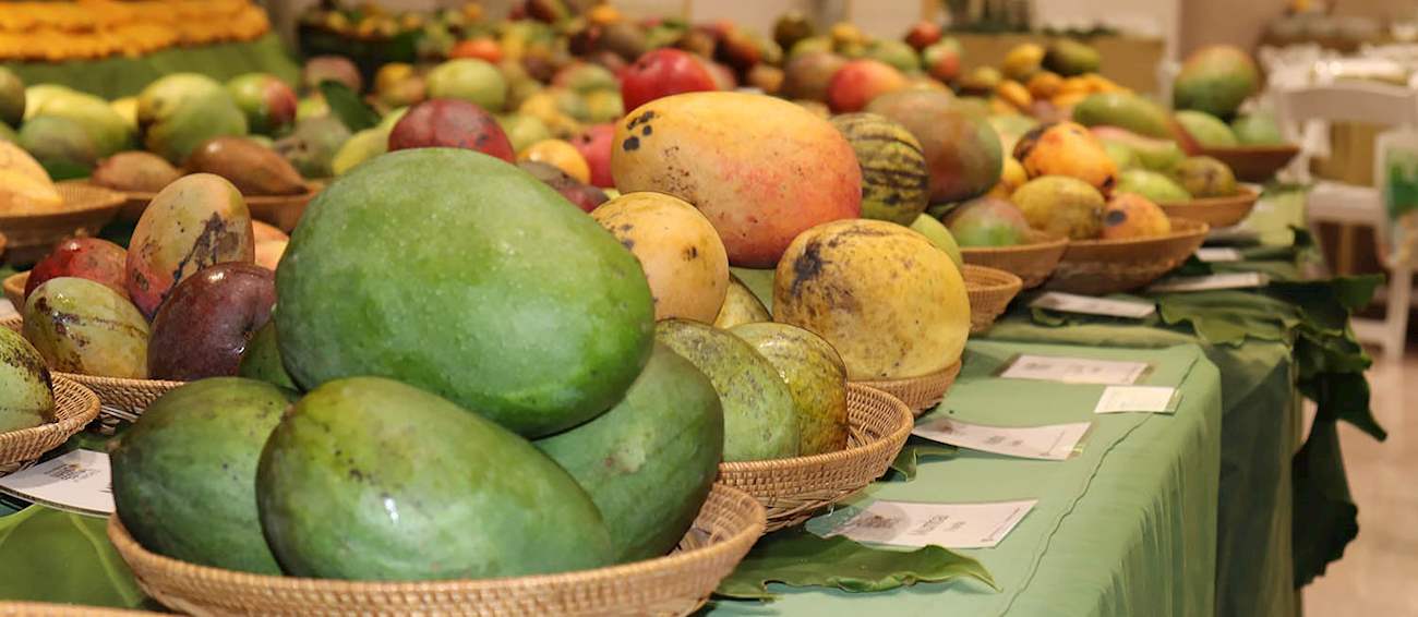 Fairchild's International Mango Festival | Fruit festival in Coral ...