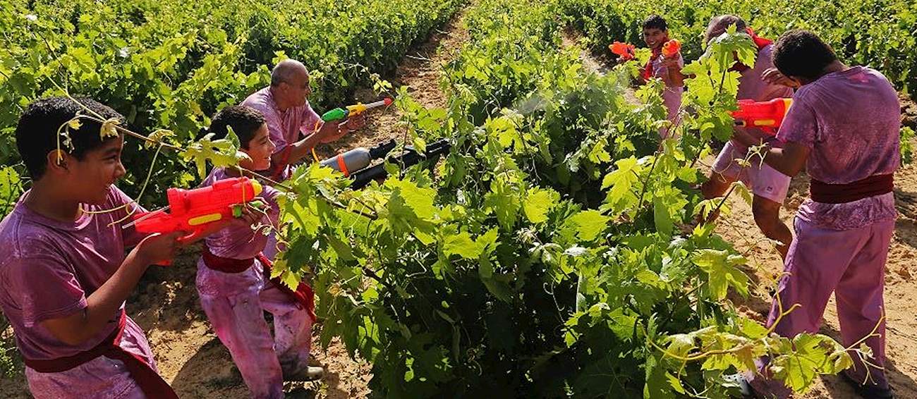 La Batalla del Vino | Food fight festival in Haro | Where? What? When?