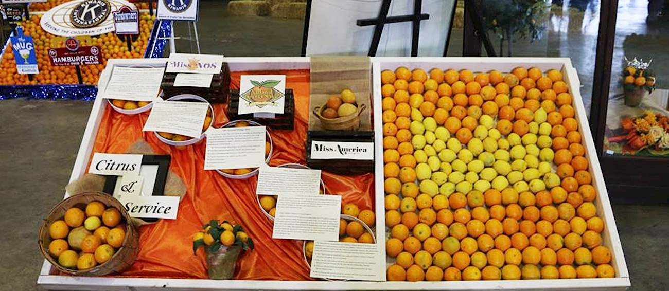 NOS Citrus Fair | Fruit festival in San Bernardino | Where? What? When?