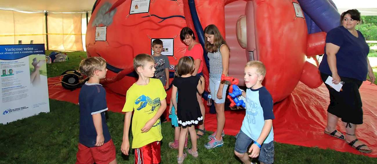 Wilton Blueberry Festival | Fruit festival in Wilton | Where? What? When?