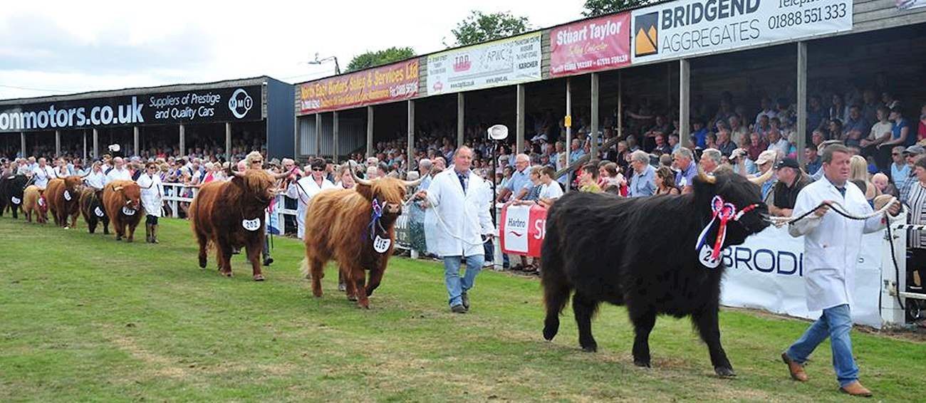 Turriff Show | Food festival in Turriff | Where? What? When?