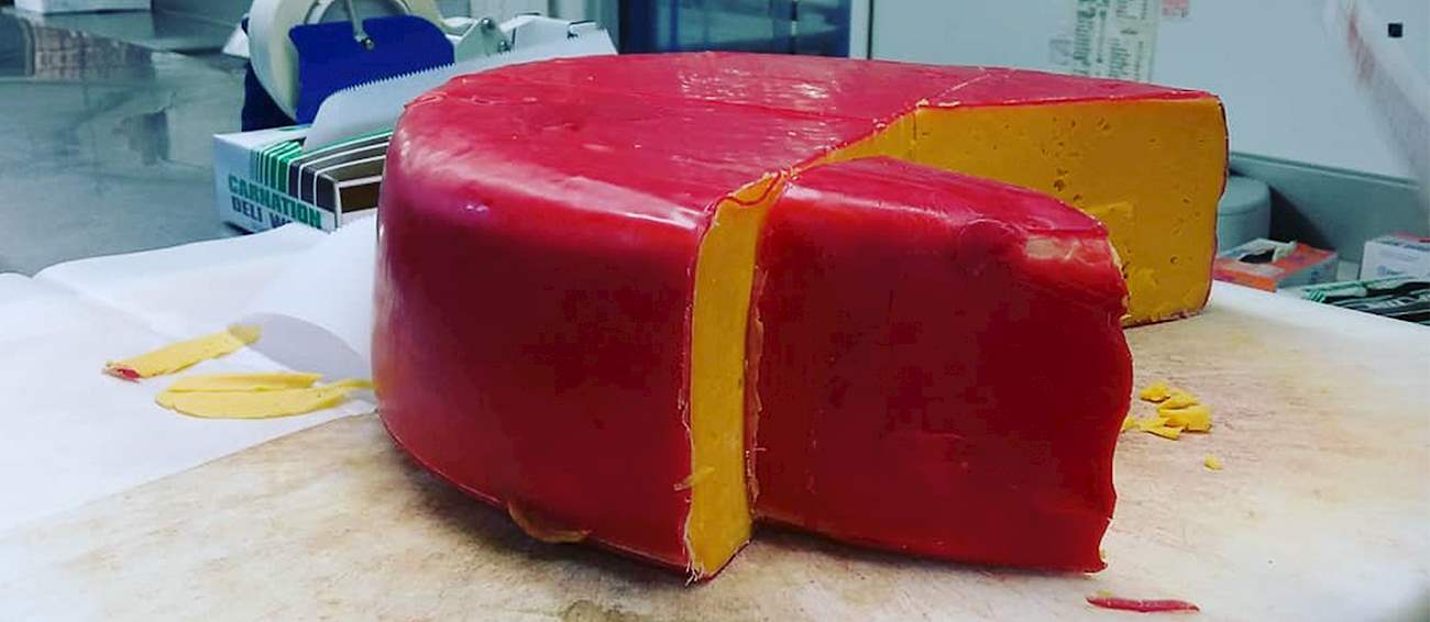 Hoop Cheese | Local Cheese From Wisconsin, United States of America