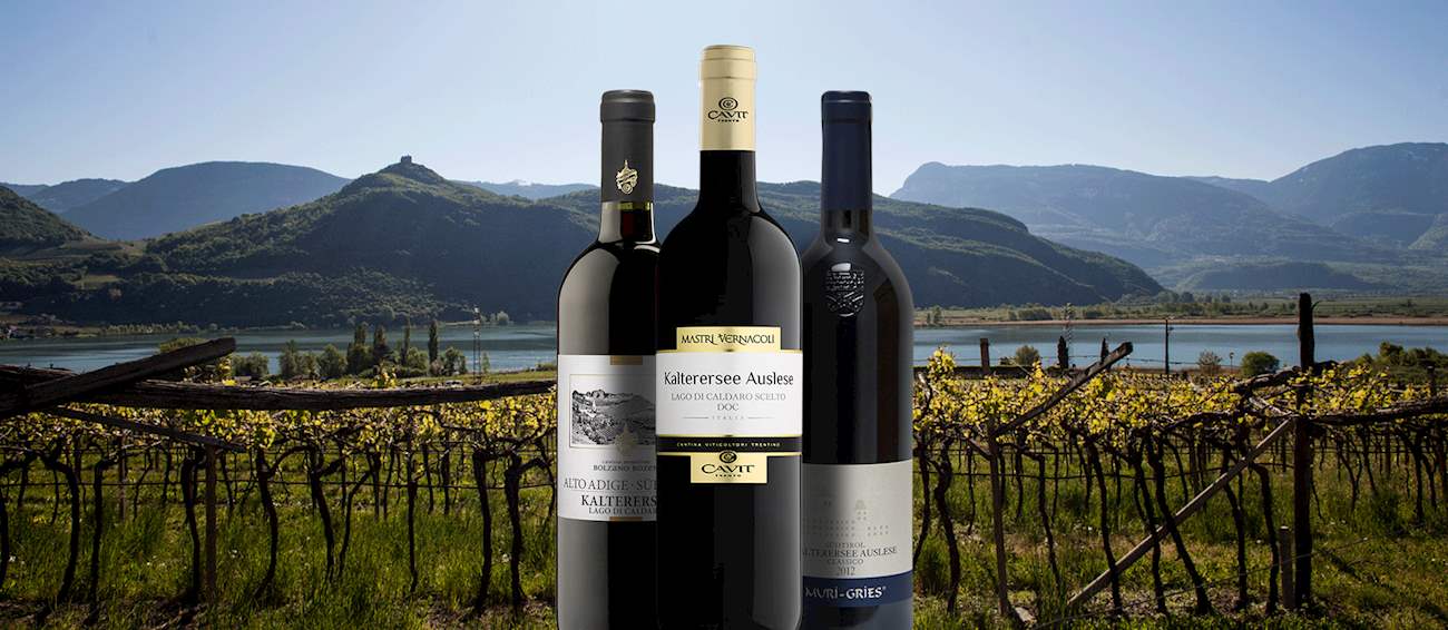 Lago di Caldaro | Local Wine Appellation From Trentino-South Tyrol, Italy