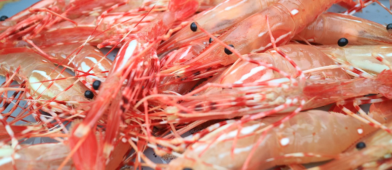 Spot Prawns | Local Prawns From British Columbia, Canada