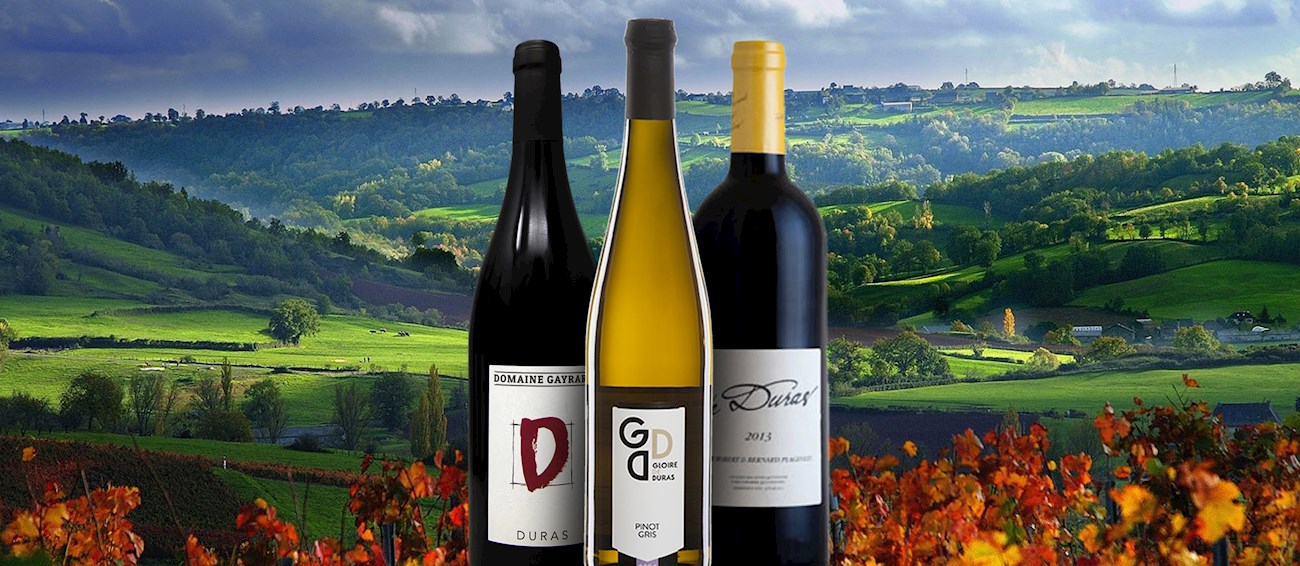 Duras | Local Wine Variety From Tarn, France