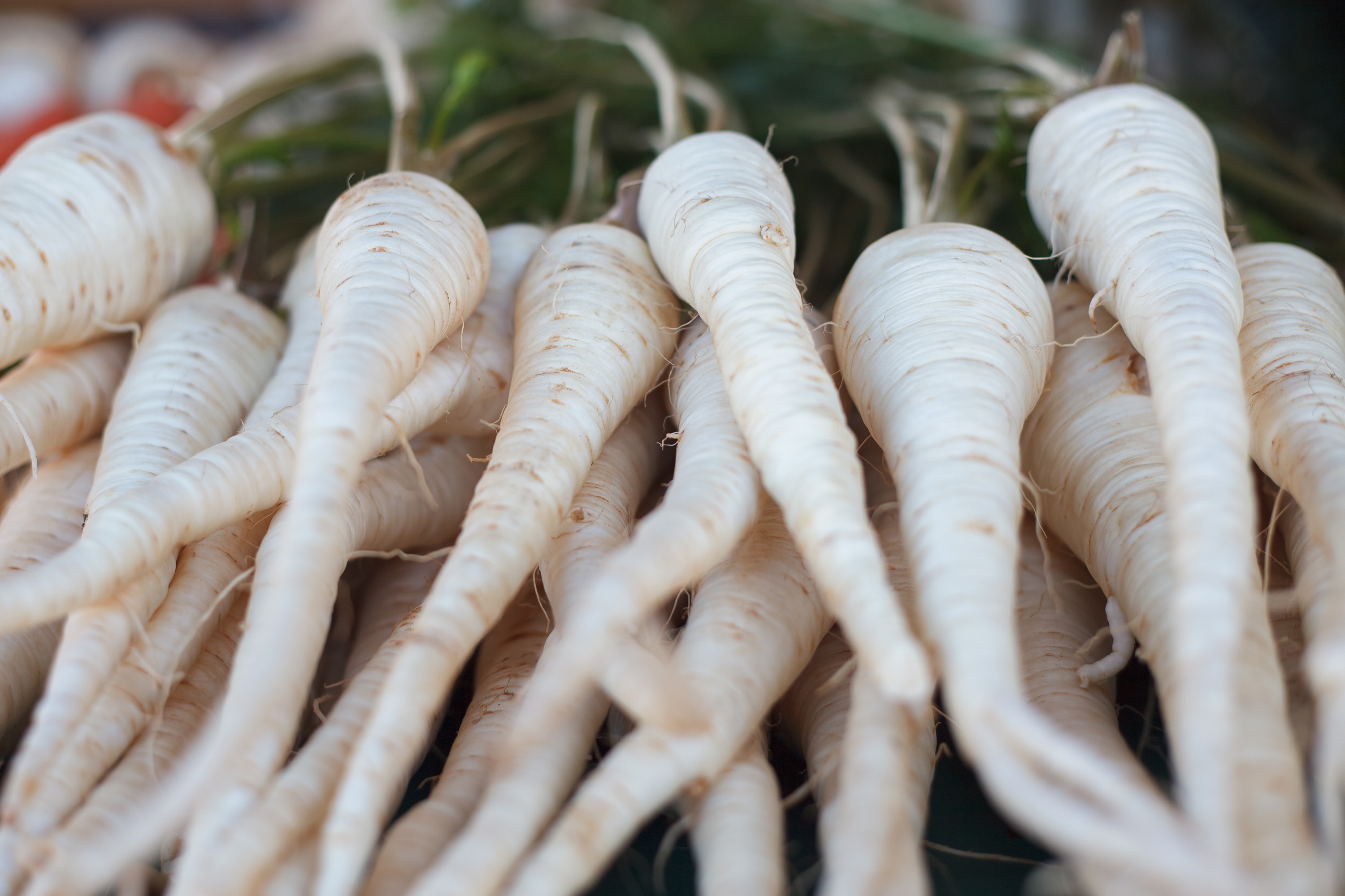 White Root Vegetables