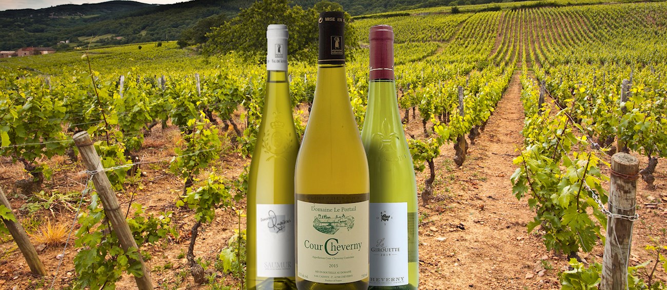 Cour-Cheverny | Local Wine Appellation From Cour-Cheverny, France