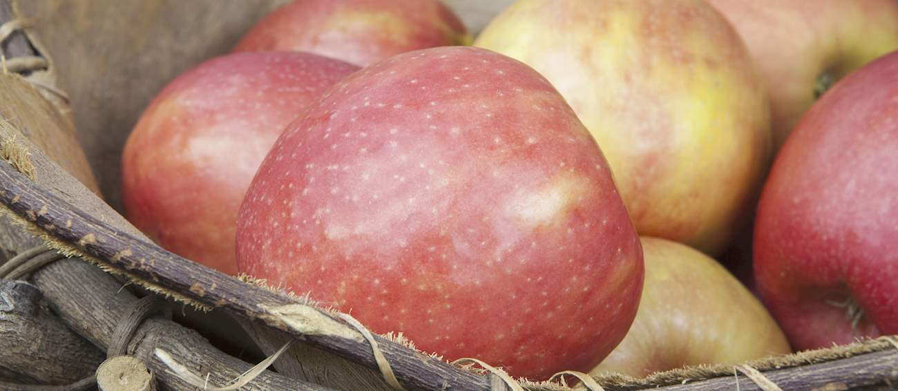 Cripps Pink Apples | Local Apple Variety From Australia