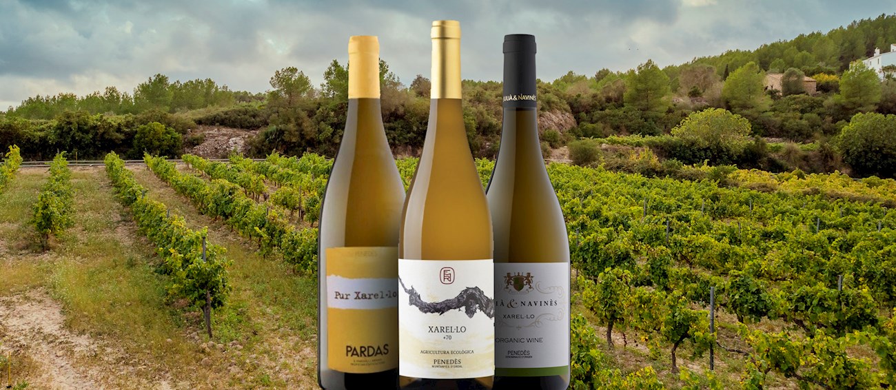 Xarel·lo | Local Wine Variety From Catalonia, Spain