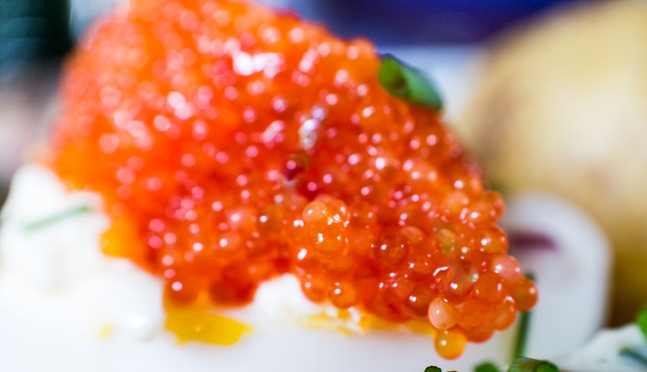Lumpfish Roe | Local Fish Roe From Greenland