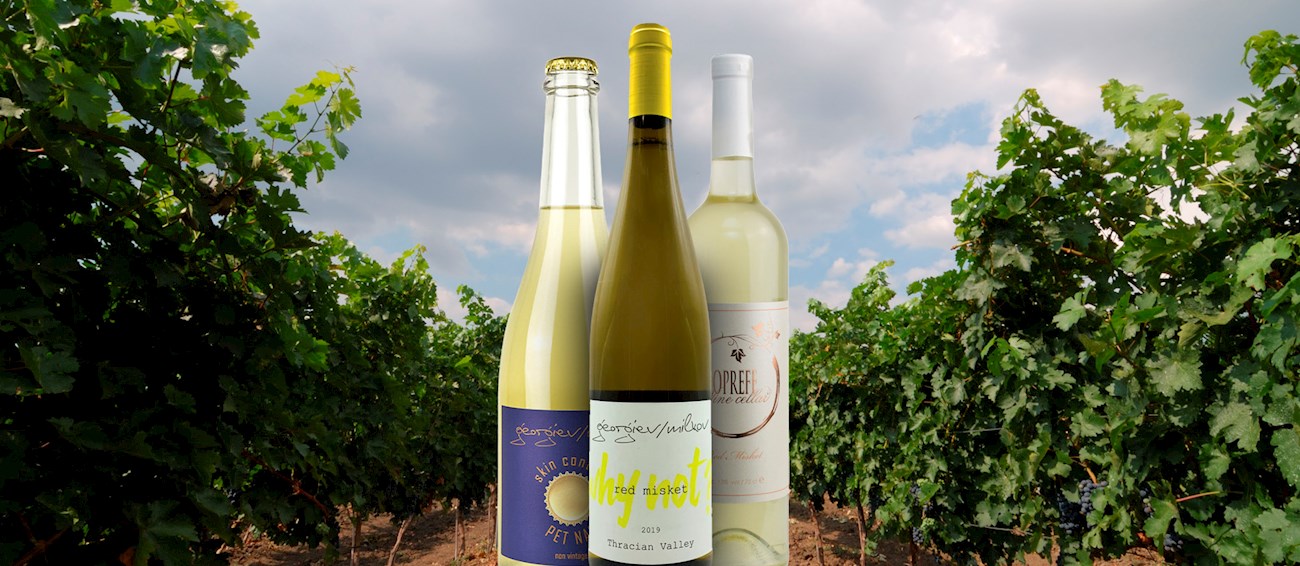 Misket Cherven | Local Wine Variety From Bulgaria, Southeastern Europe