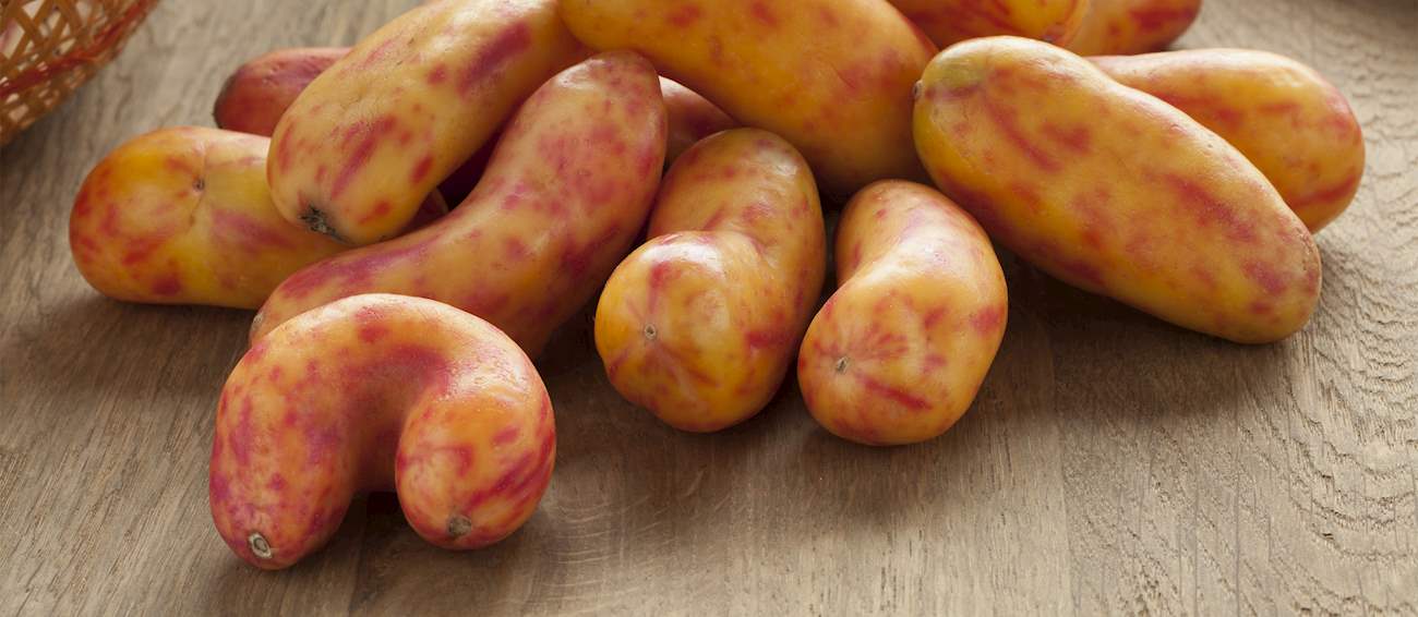 Olluco | Local Tuber From Peru