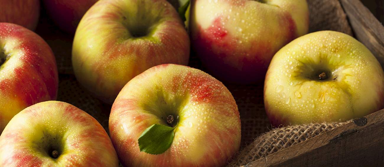 Honeycrisp Apples | Local Apple Variety From Minnesota, United States ...