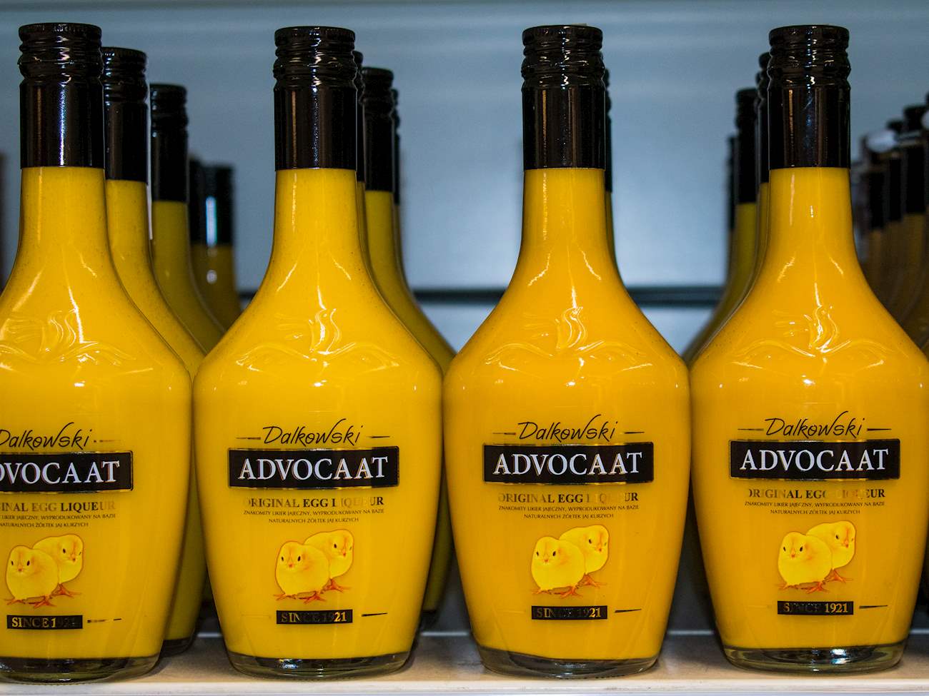 Advocaat | Local Cream Liqueur From Netherlands, Central Europe